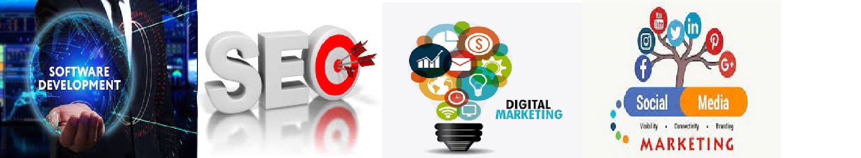 Pro Web – Explore Your Options to Marketing